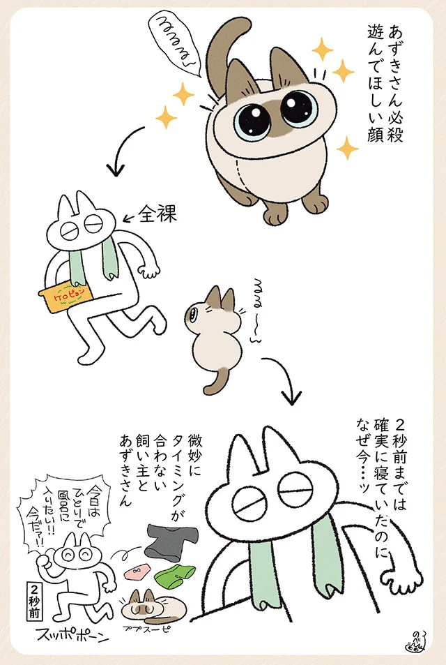 なんだ、おもちゃを見せたかっただけか。猫とのすれ違いが起きた日／とっても!!!! シャム猫あずきさんは世界の中心（4）（画像3/5） - レタスクラブ