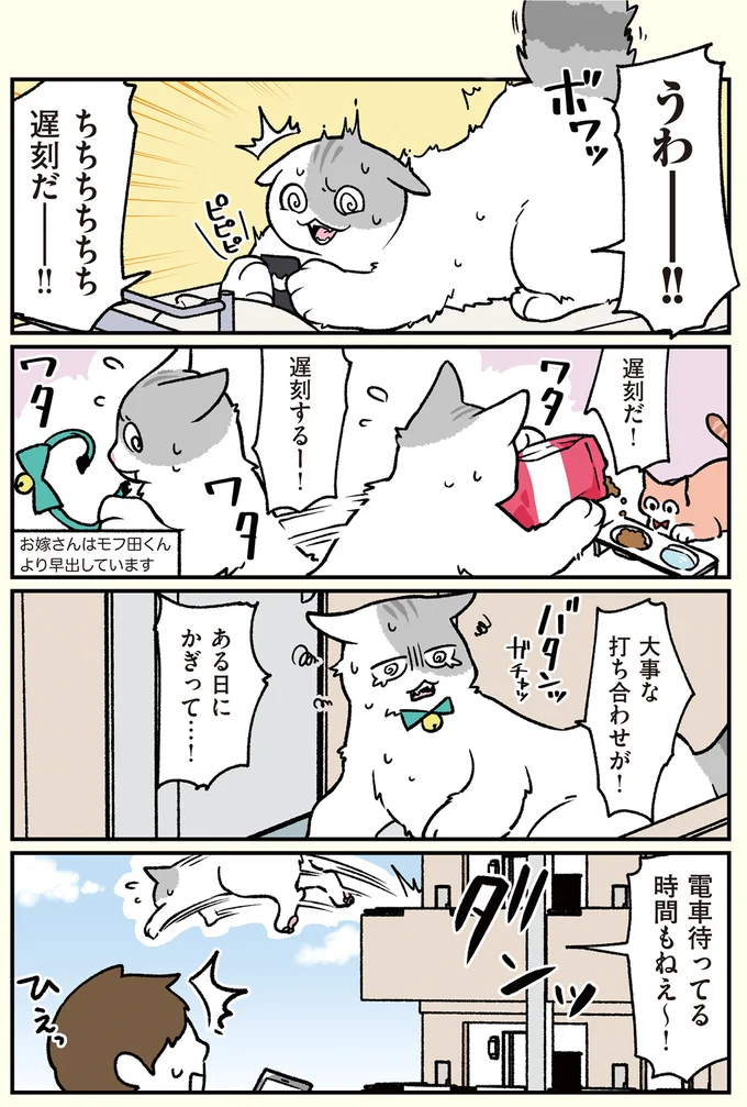 遅刻だー！ 猫になった社員が電車を待たず、自慢の足で駆ける！／ブラック企業の社員が猫になって人生が変わった話2（モフ田くんの場合）（6）（画像 ...