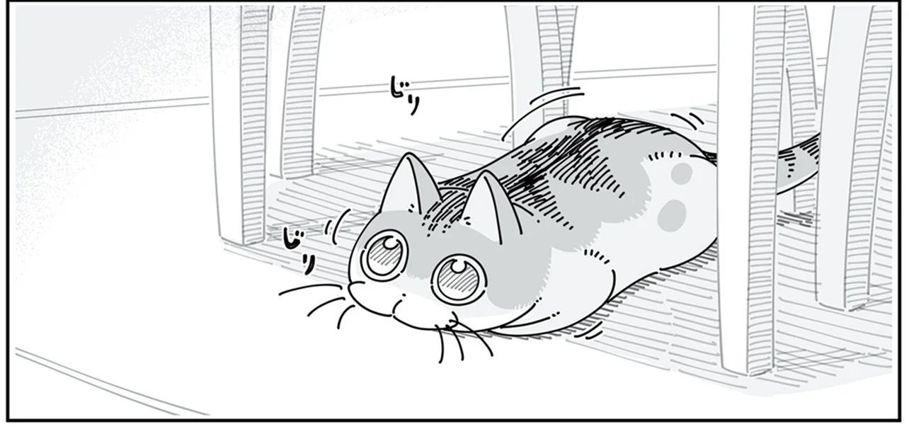 ああ、飛びついてくる顔だ。狙いを定めた猫の一手先を読むのは？ - レタスクラブ