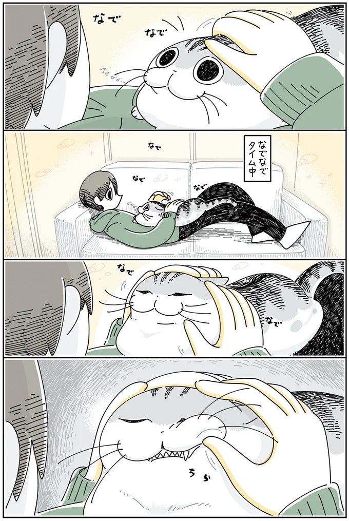 ああ、飛びついてくる顔だ。狙いを定めた猫の一手先を読むのは？（画像12/71） - レタスクラブ