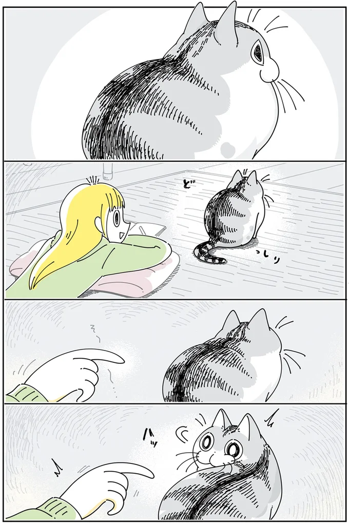 ああ、飛びついてくる顔だ。狙いを定めた猫の一手先を読むのは？（画像17/71） - レタスクラブ