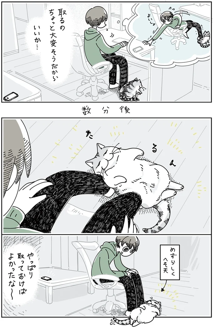 ああ、飛びついてくる顔だ。狙いを定めた猫の一手先を読むのは？（画像22/71） - レタスクラブ