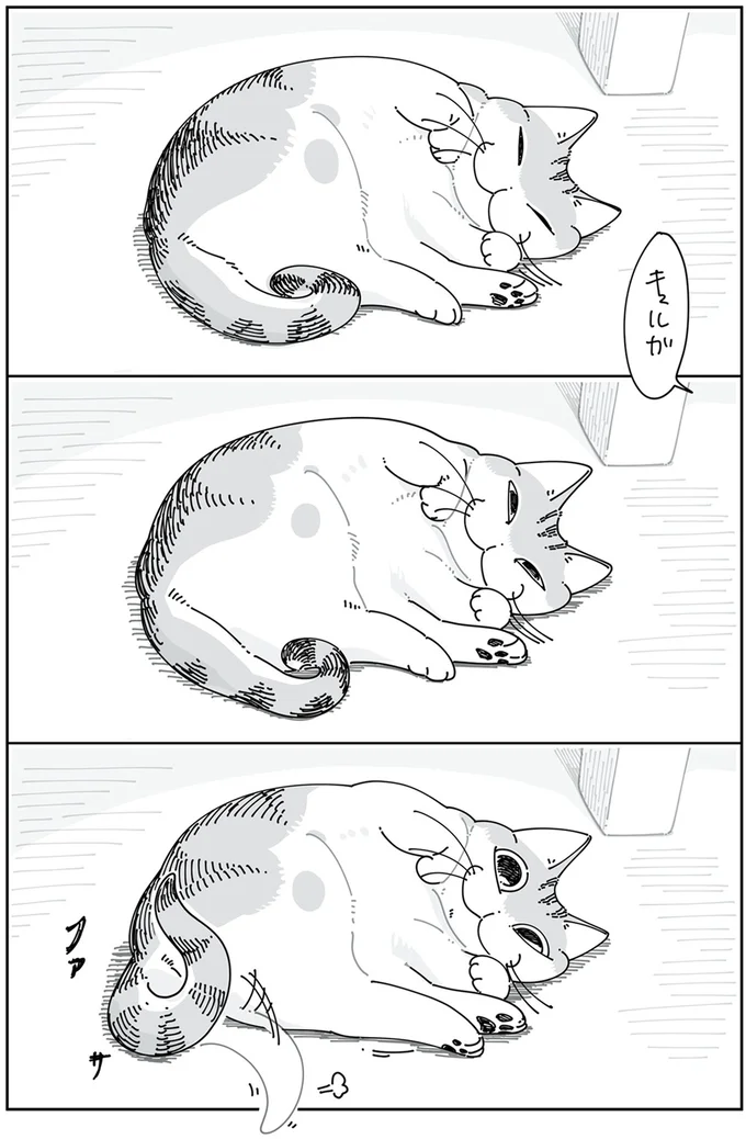 ああ、飛びついてくる顔だ。狙いを定めた猫の一手先を読むのは？（画像26/71） - レタスクラブ