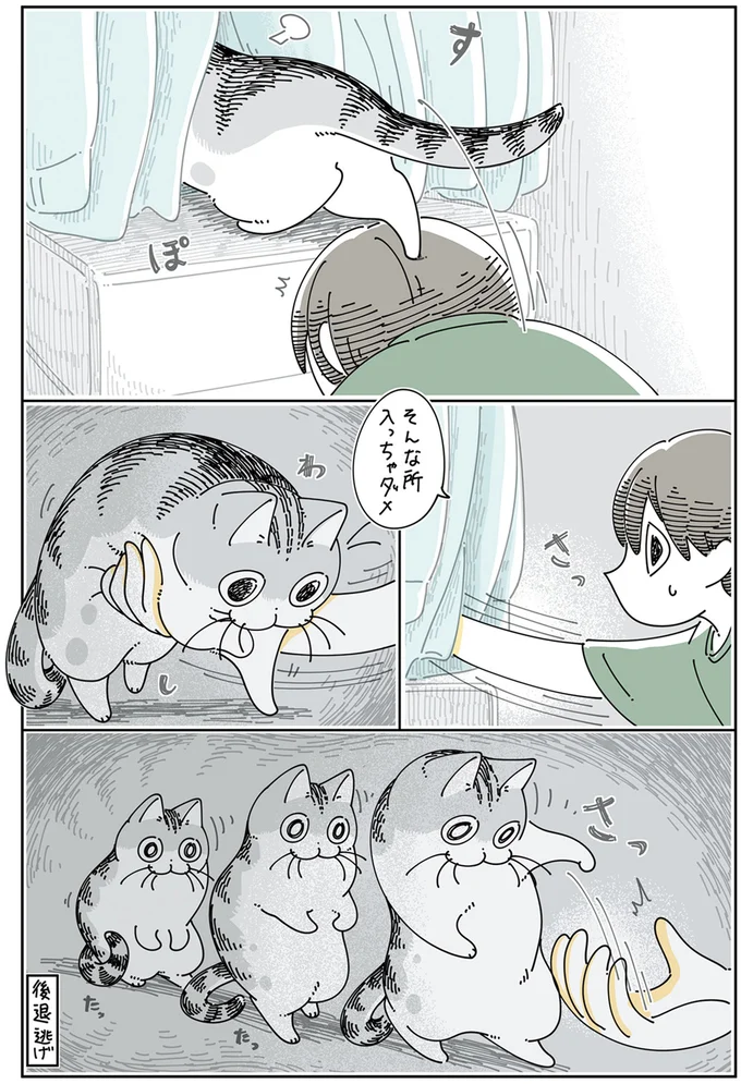 ああ、飛びついてくる顔だ。狙いを定めた猫の一手先を読むのは？（画像34/71） - レタスクラブ