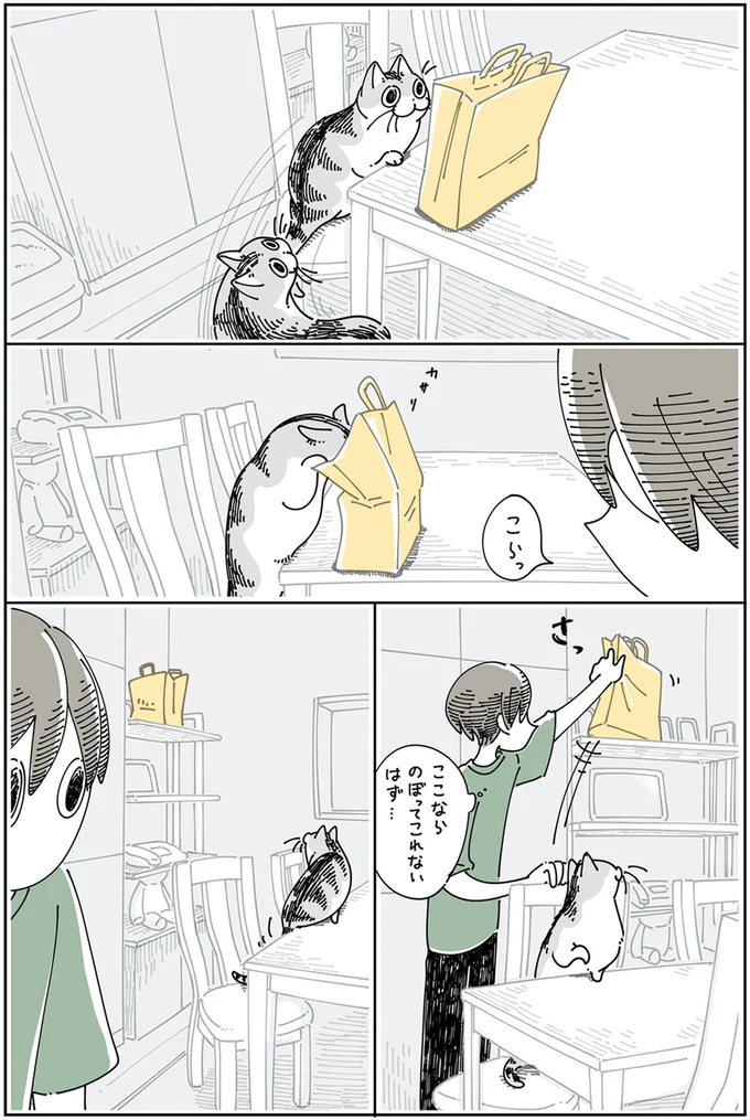 ああ、飛びついてくる顔だ。狙いを定めた猫の一手先を読むのは？（画像40/71） - レタスクラブ