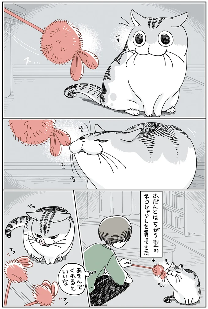 ああ、飛びついてくる顔だ。狙いを定めた猫の一手先を読むのは？（画像46/71） - レタスクラブ