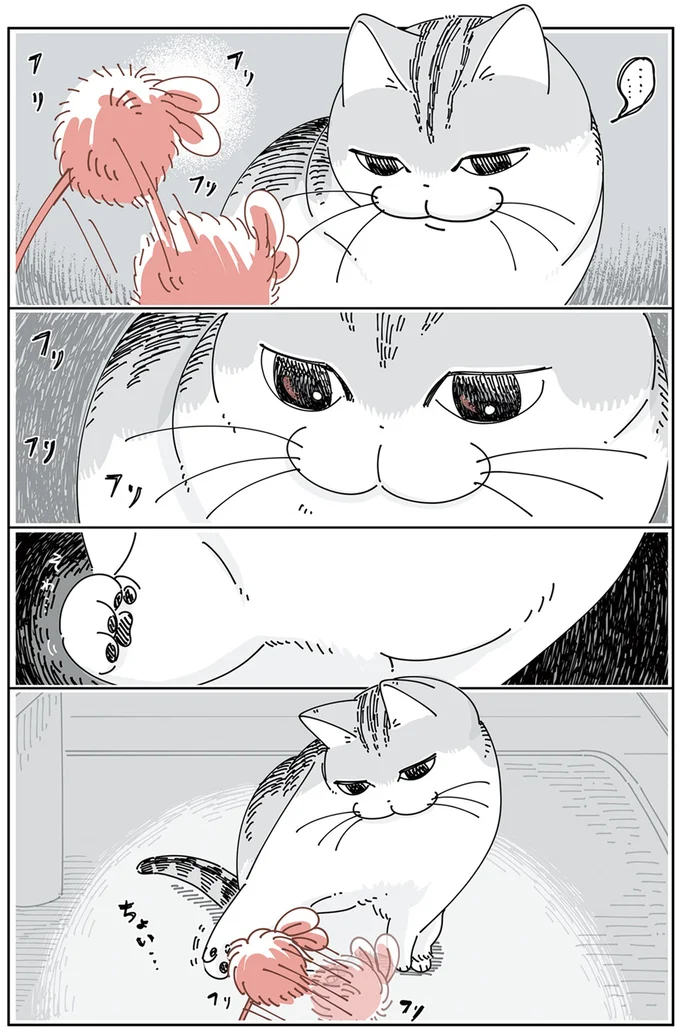 ああ、飛びついてくる顔だ。狙いを定めた猫の一手先を読むのは？（画像47/71） - レタスクラブ