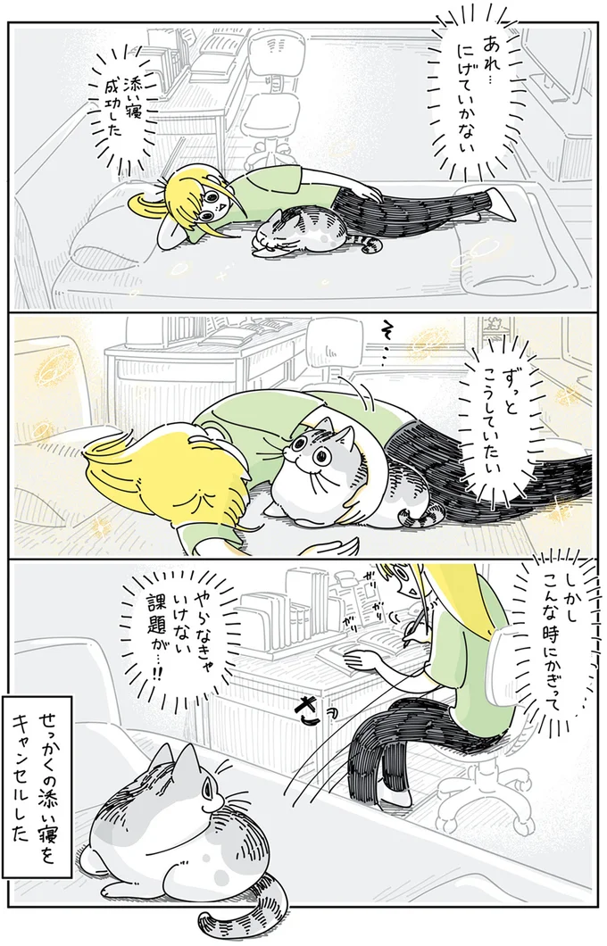 ああ、飛びついてくる顔だ。狙いを定めた猫の一手先を読むのは？（画像52/71） - レタスクラブ