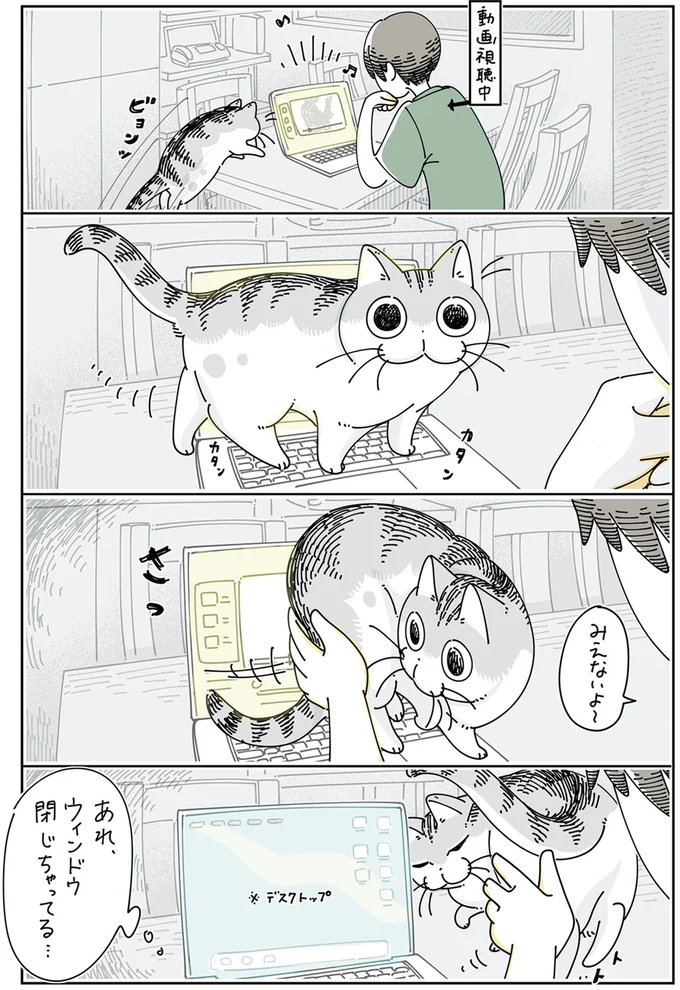ああ、飛びついてくる顔だ。狙いを定めた猫の一手先を読むのは？（画像58/71） - レタスクラブ