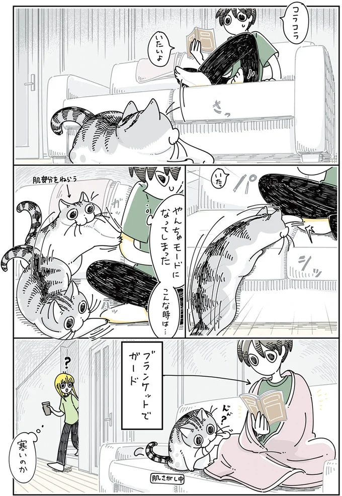 ああ、飛びついてくる顔だ。狙いを定めた猫の一手先を読むのは？（画像61/71） - レタスクラブ