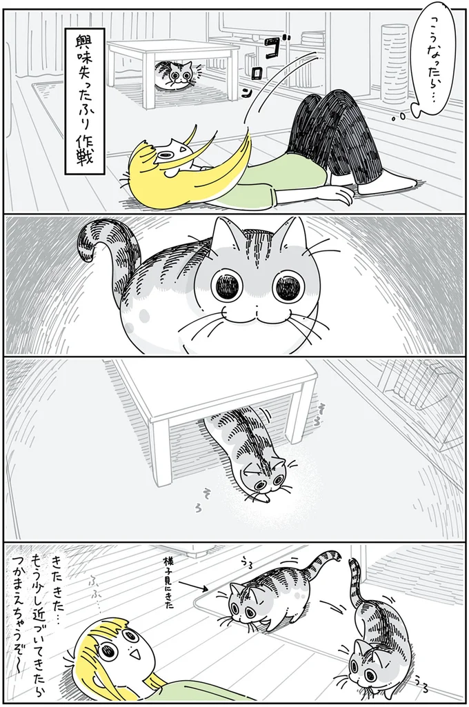 ああ、飛びついてくる顔だ。狙いを定めた猫の一手先を読むのは？（画像68/71） - レタスクラブ